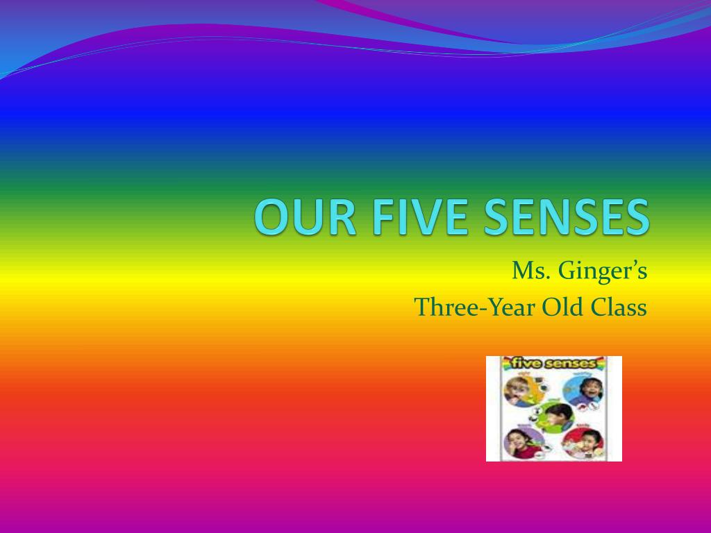 PPT - OUR FIVE SENSES PowerPoint Presentation, free download - ID:2137211