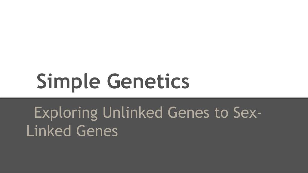 PPT - Simple Genetics PowerPoint Presentation, free download - ID:2137773