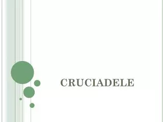 PPT - CRUCIADELE PowerPoint Presentation, free download - ID:2139346