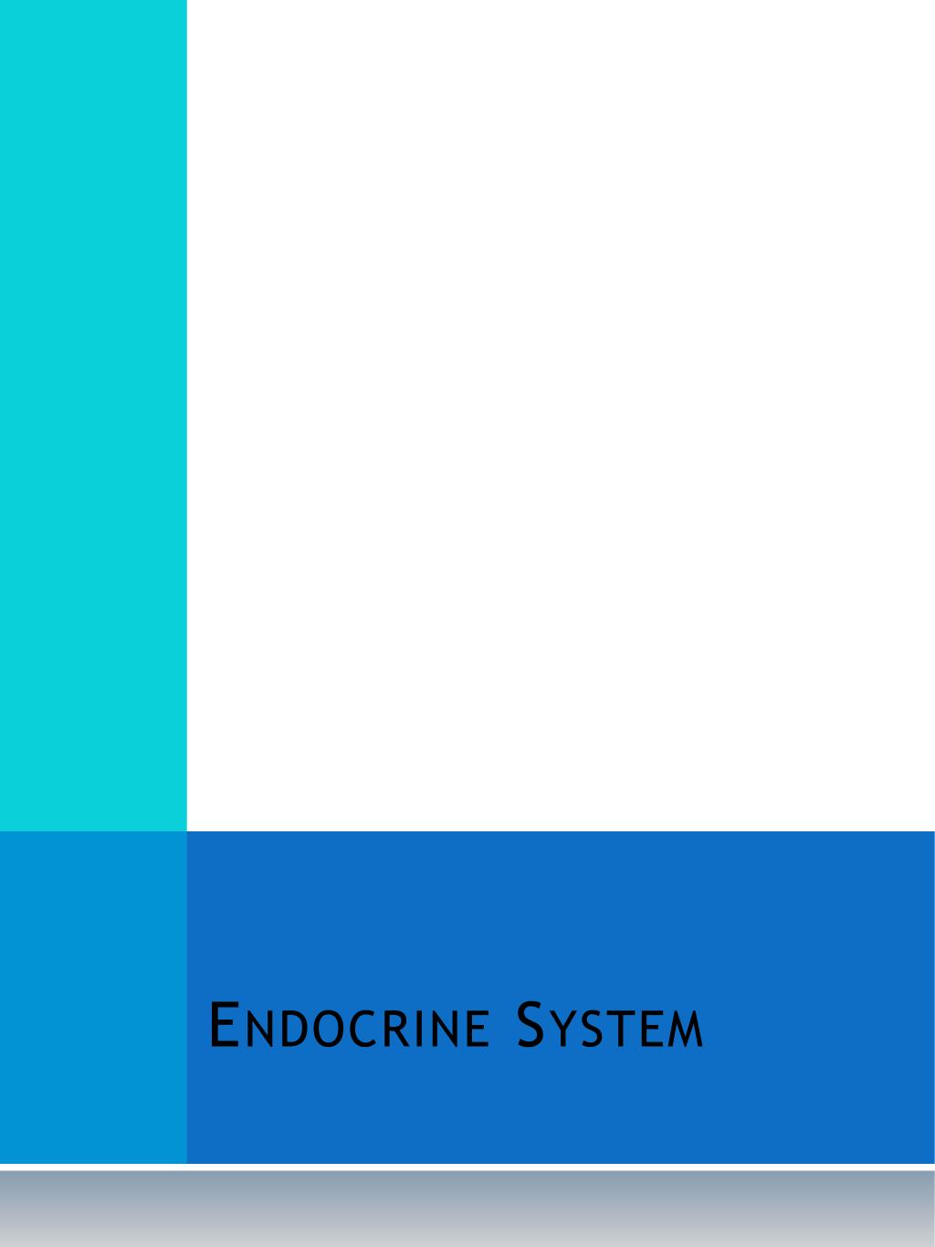 PPT - Endocrine System PowerPoint Presentation, free download - ID:2139430
