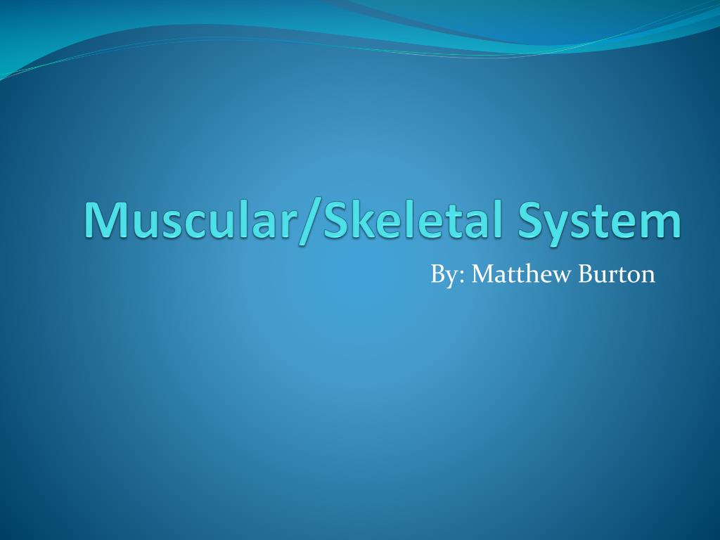 PPT - Muscular/Skeletal System PowerPoint Presentation, free download ...