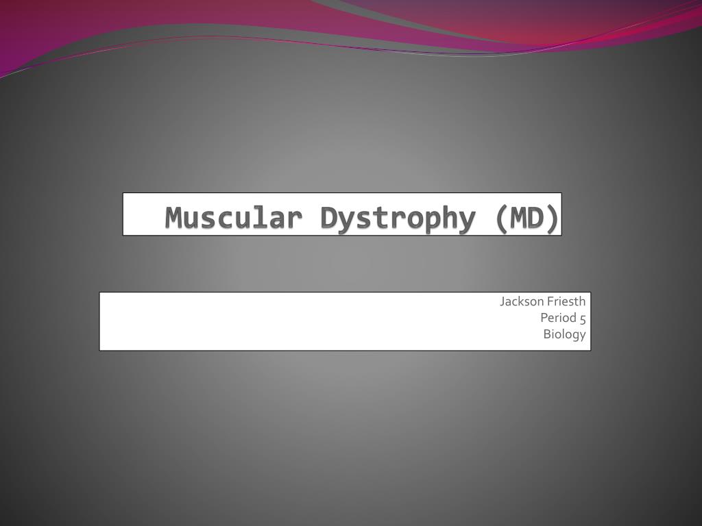PPT - Muscular Dystrophy (MD) PowerPoint Presentation, free download ...