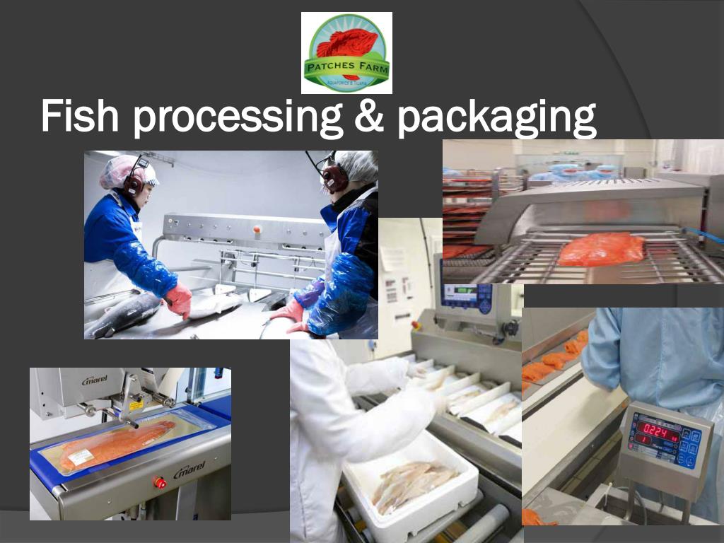 PPT - Fish processing & packaging PowerPoint Presentation, free ...
