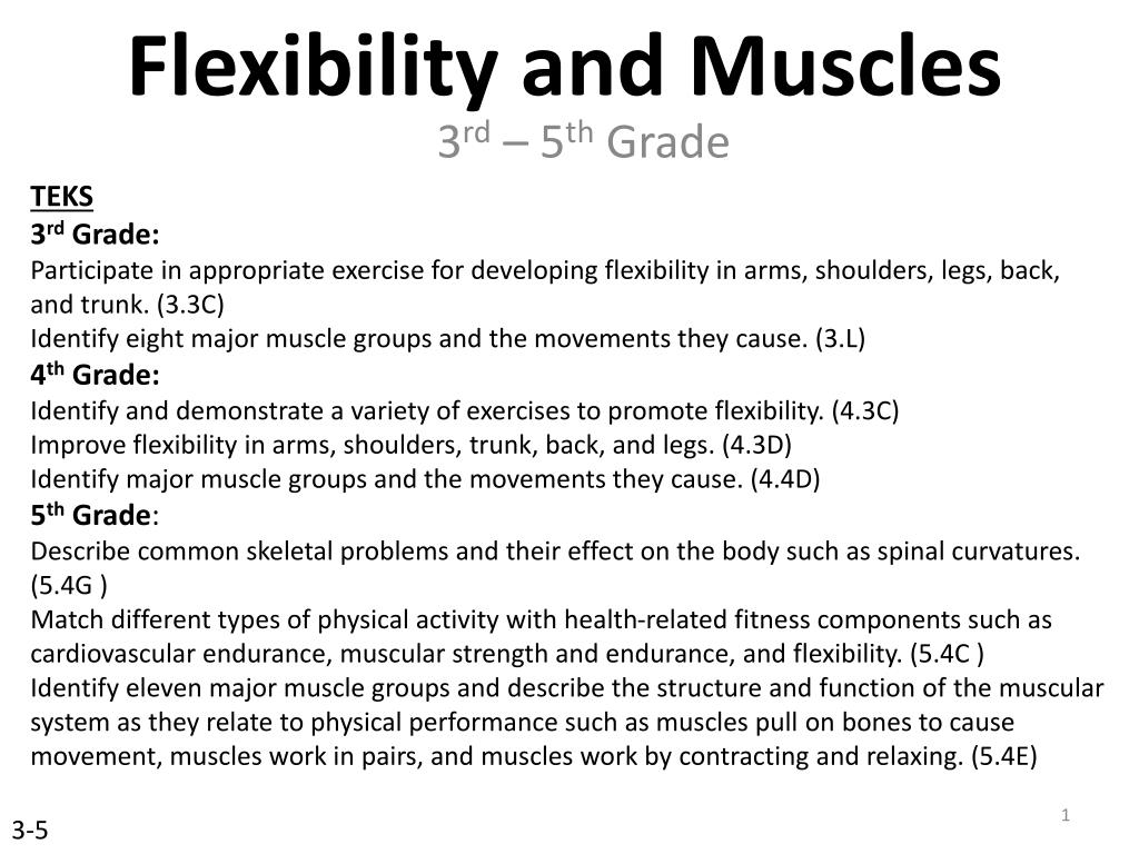 PPT - Flexibility and Muscles PowerPoint Presentation, free download ...
