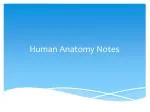 PPT - Eye Anatomy Notes PowerPoint Presentation, free download - ID:2111276