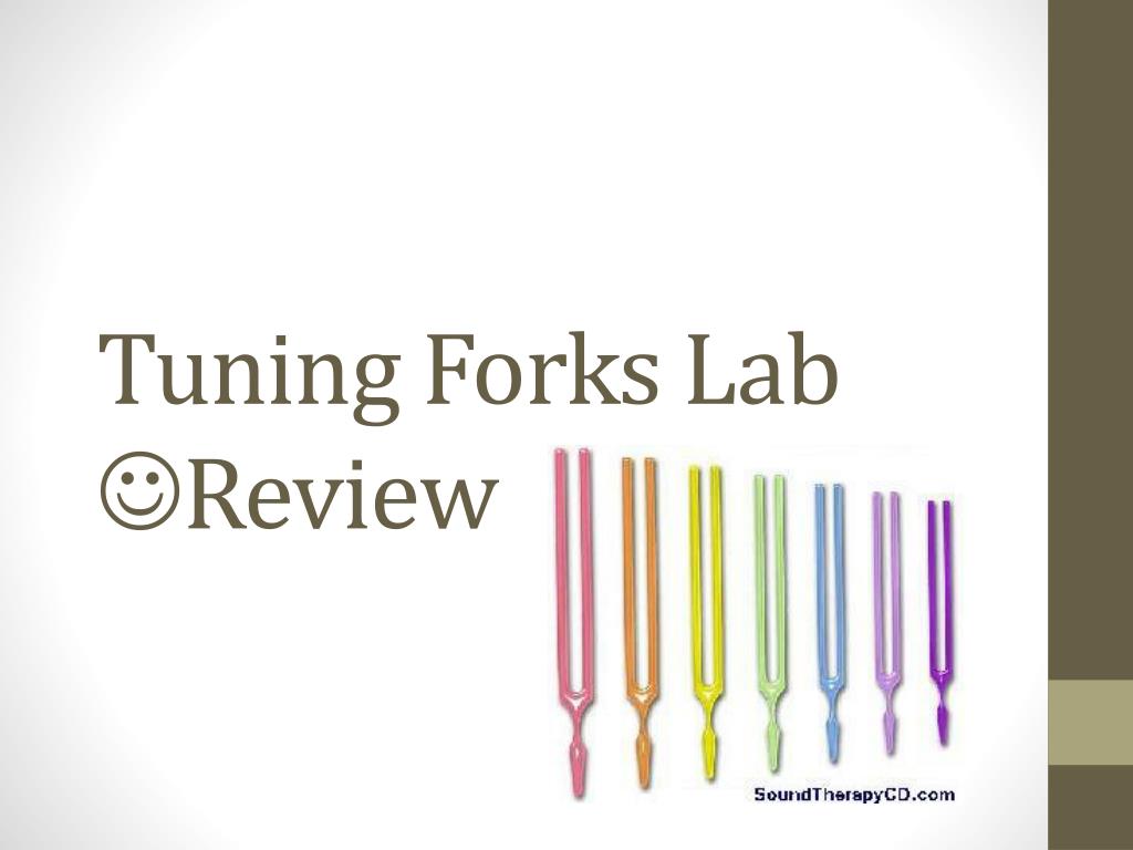 PPT - Tuning Forks Lab R eview PowerPoint Presentation, free download ...