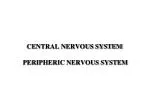 PPT - Nervous System PowerPoint Presentation, free download - ID:8879279