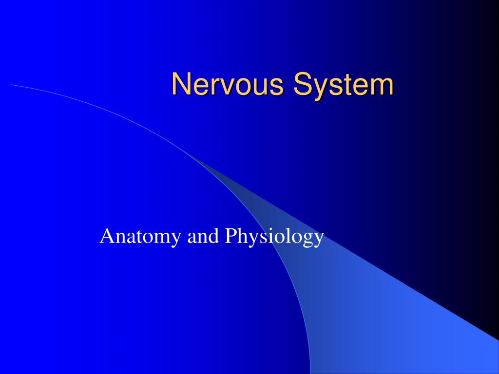 PPT - Nervous System PowerPoint Presentation, free download - ID:2143684