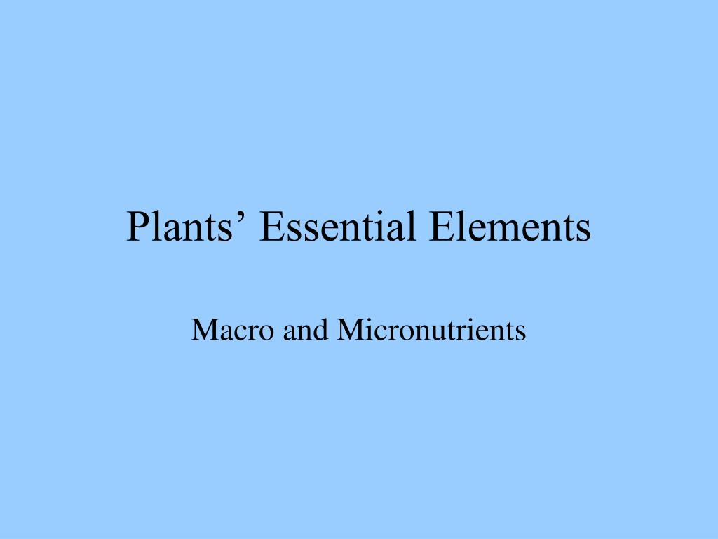 PPT - Plants’ Essential Elements PowerPoint Presentation, free download ...