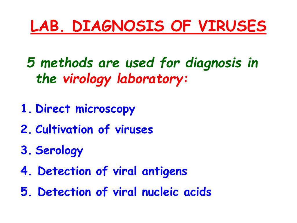 PPT - LAB. DIAGNOSIS OF VIRUSES 5 methods are used for diagnosis in the ...