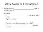 PPT - SALIVA (Composition and Functions) PowerPoint Presentation, free ...
