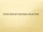 PPT - The Theory of Evolution by Natural Selection PowerPoint ...