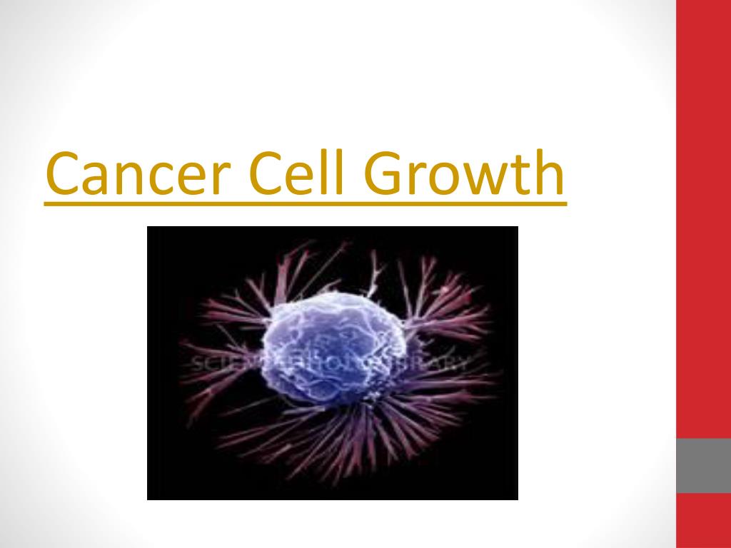 PPT - Cancer Cell Growth PowerPoint Presentation, free download - ID ...