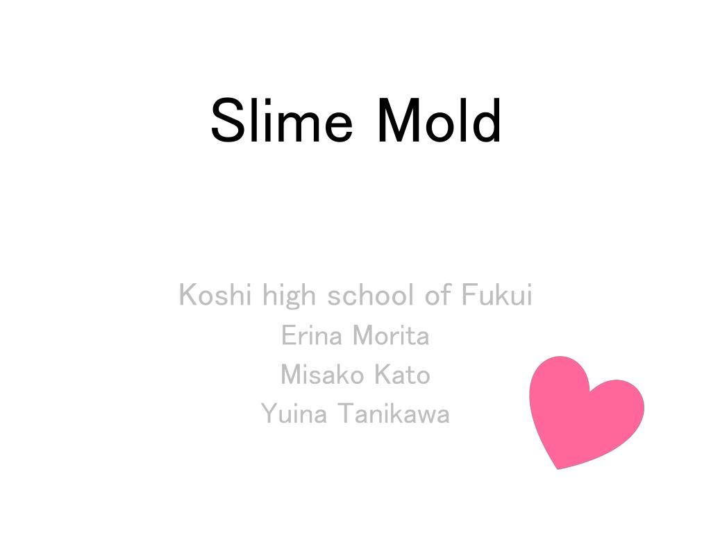 PPT - Slime Mold PowerPoint Presentation, free download - ID:2146896