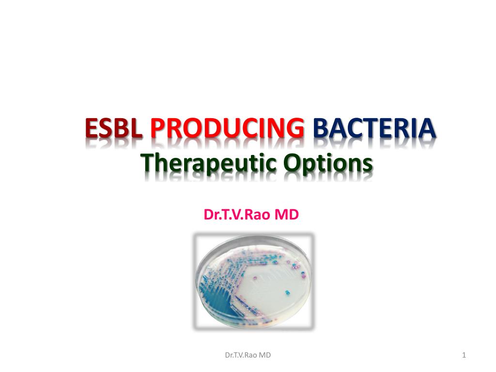 PPT - ESBL PRODUCING BACTERIA Therapeutic Options PowerPoint ...