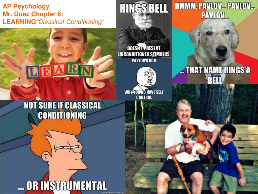 PPT - AP Psychology Mr. Duez Chapter 6: LEARNING “Classical ...