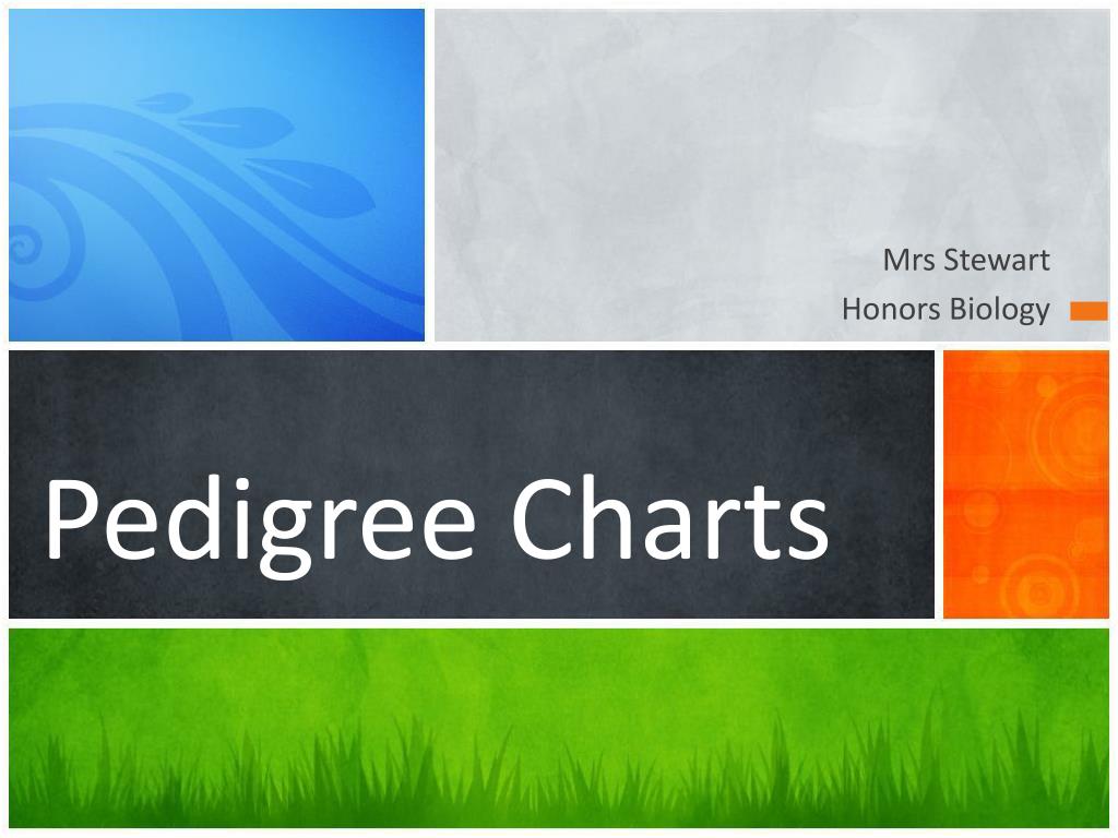 PPT - Pedigree Charts PowerPoint Presentation, free download - ID:2148184