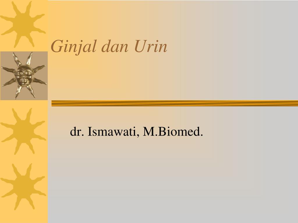 PPT - Ginjal dan Urin PowerPoint Presentation, free download - ID:2150338