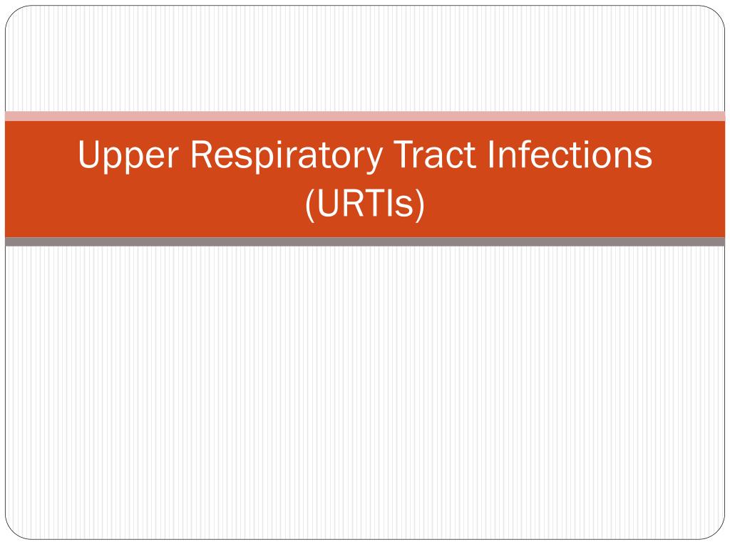 PPT - Upper Respiratory Tract Infections (URTIs) PowerPoint ...