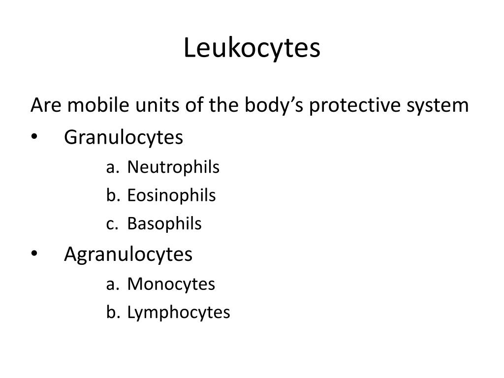 PPT - Leukocytes PowerPoint Presentation, free download - ID:2152518