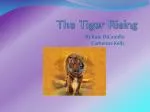 PPT - Raffaello Sanzio’s Sistine Madonna PowerPoint Presentation, free ...