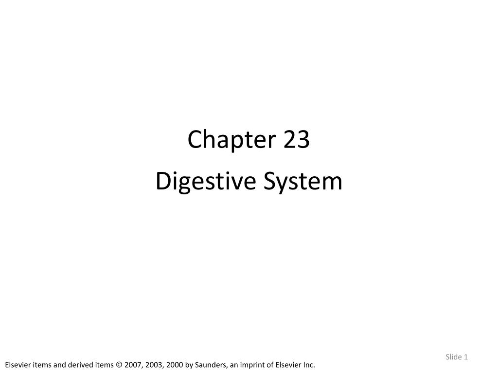 PPT - Chapter 23 Digestive System PowerPoint Presentation, free ...