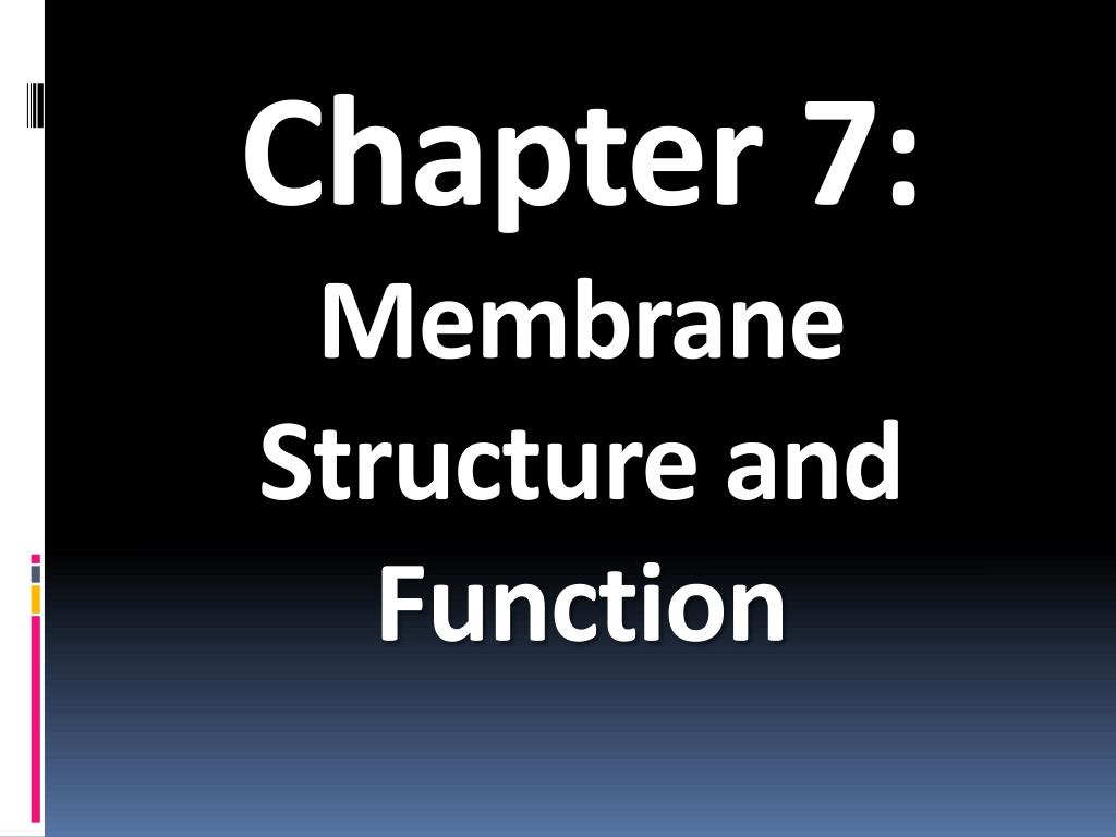 PPT - Chapter 7: Membrane Structure and Function PowerPoint Presentation - ID:2152637