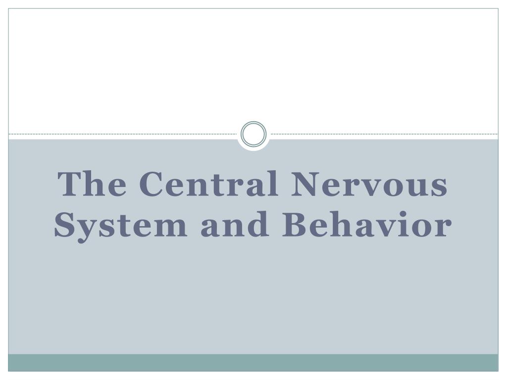 PPT - The Central Nervous System and Behavior PowerPoint Presentation ...