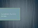 PPT - Lymphatic System PowerPoint Presentation, free download - ID:1899417