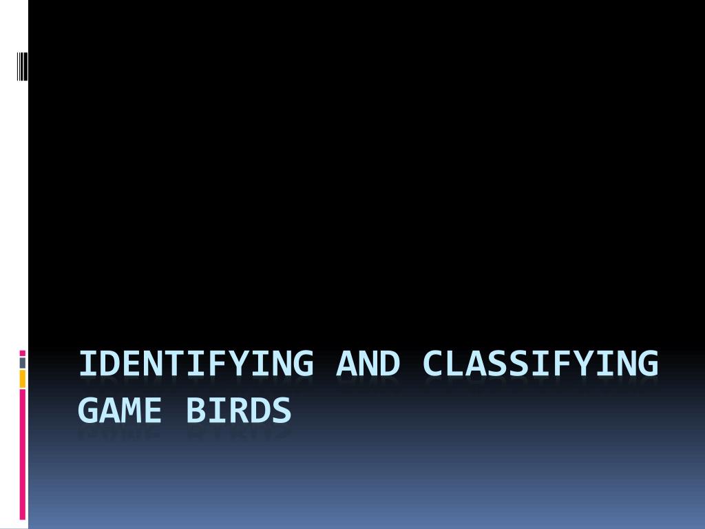 PPT - Identifying and classifying game birds PowerPoint Presentation ...