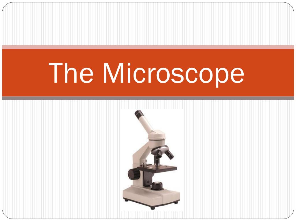 PPT - The Microscope PowerPoint Presentation, free download - ID:2158600