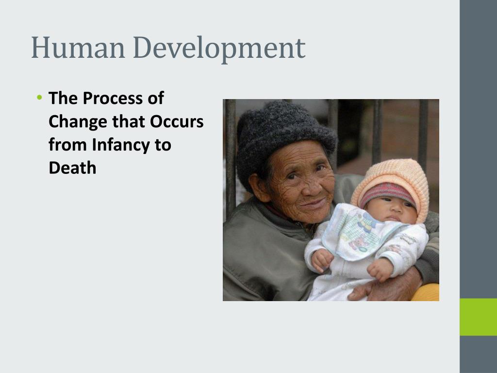 PPT - Human Development PowerPoint Presentation, free download - ID:2160371