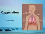 PPT - Oxygenation PowerPoint Presentation, free download - ID:2584045