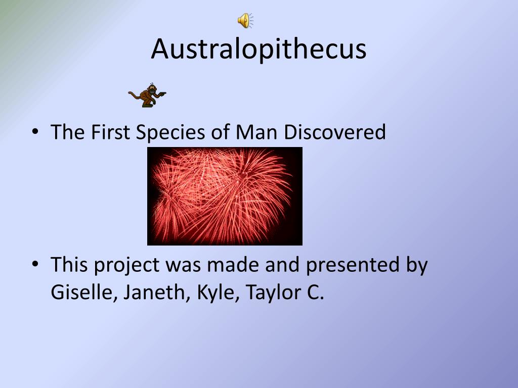 PPT - Australopithecus PowerPoint Presentation, free download - ID:2161420