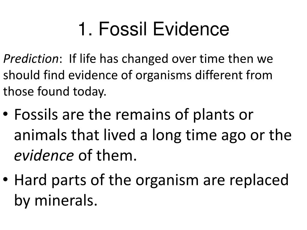 PPT - 1. Fossil Evidence PowerPoint Presentation, free download - ID ...