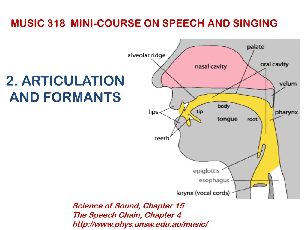 PPT - 2. ARTICULATION AND FORMANTS PowerPoint Presentation, free ...