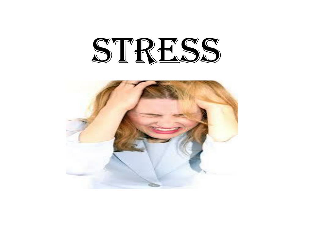 PPT - STRESS PowerPoint Presentation, free download - ID:2163448