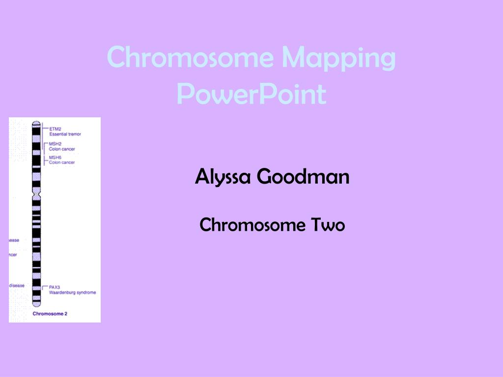 PPT - Chromosome Mapping PowerPoint PowerPoint Presentation, free ...