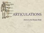 PPT - Articulations and Movement PowerPoint Presentation, free download ...