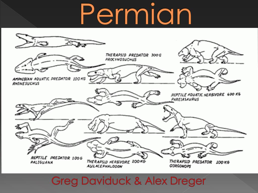 PPT - Permian PowerPoint Presentation, free download - ID:2166172
