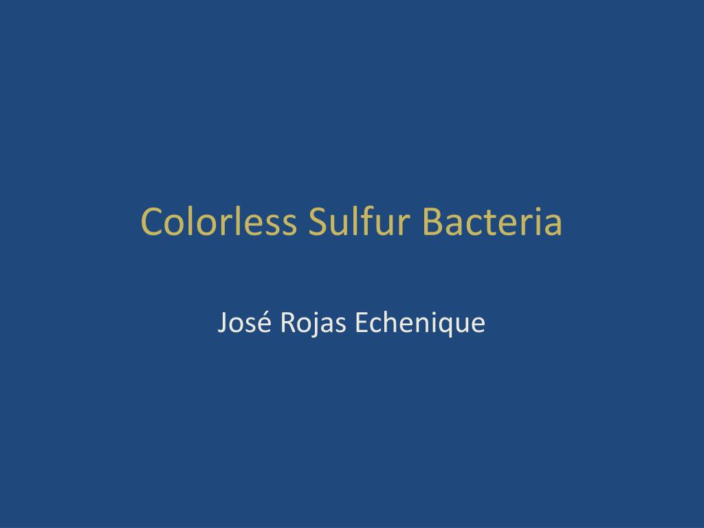 PPT - Colorless Sulfur Bacteria PowerPoint Presentation, free download ...