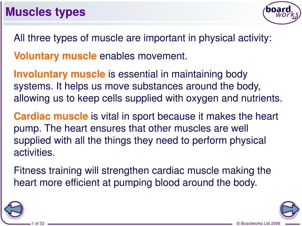 PPT - Muscles types PowerPoint Presentation, free download - ID:2167205