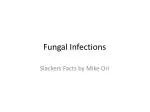 PPT - Fungal Infections PowerPoint Presentation, free download - ID:554303