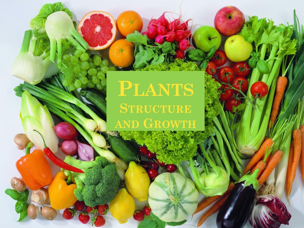 PPT - Understanding Plant Structures: Growth, Fruit Types, and ...