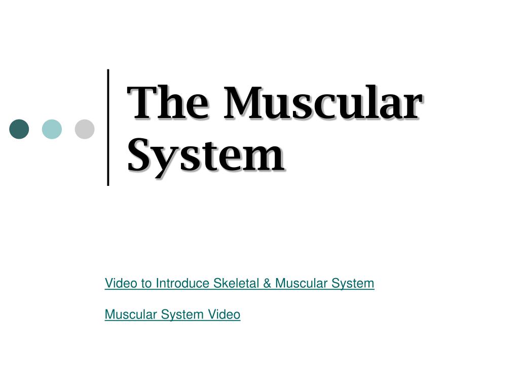 PPT - The Muscular System PowerPoint Presentation, free download - ID ...