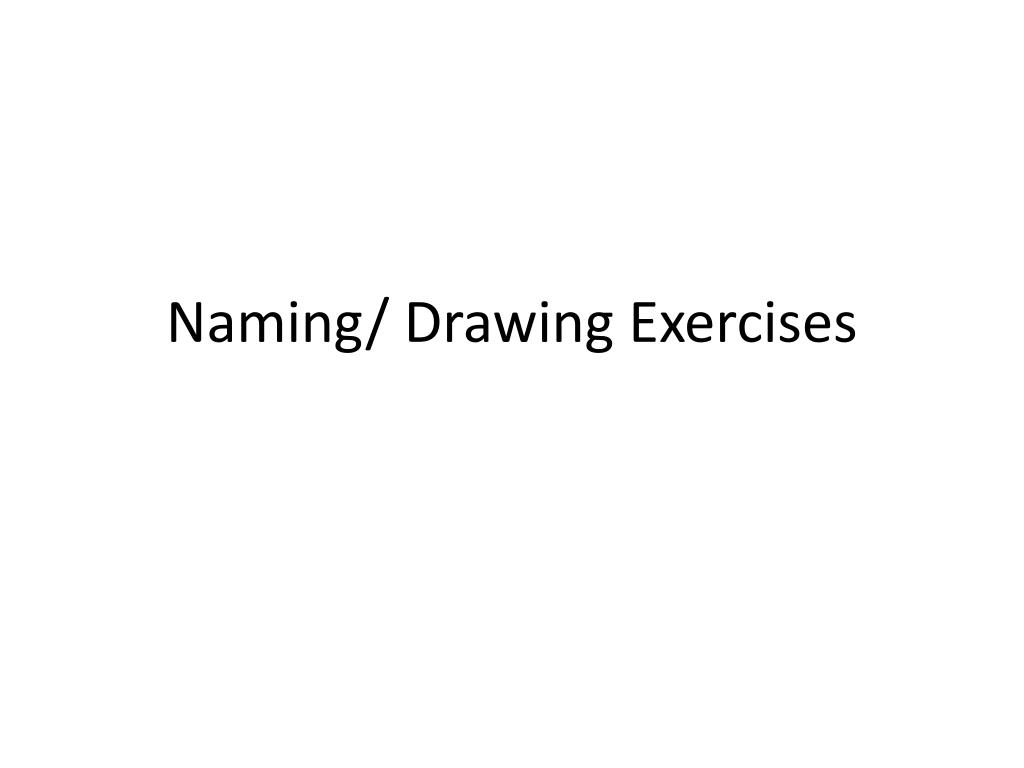 PPT - Naming/ Drawing Exercises PowerPoint Presentation, free download ...