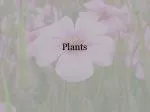 PPT - Plant Anatomy PowerPoint Presentation, free download - ID:9612683