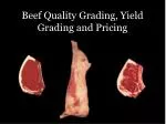 PPT - BEEF CARCASS YIELD AND QUALITY GRADING PowerPoint Presentation ...
