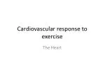 PPT - Cardiovascular Function During Exercise PowerPoint Presentation ...
