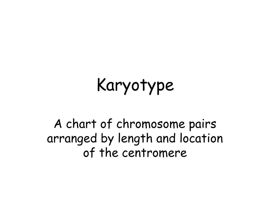 PPT - Karyotype PowerPoint Presentation, free download - ID:2171200